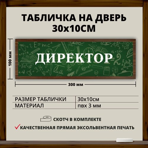 Табличка для школы "Директор" (30х10см)