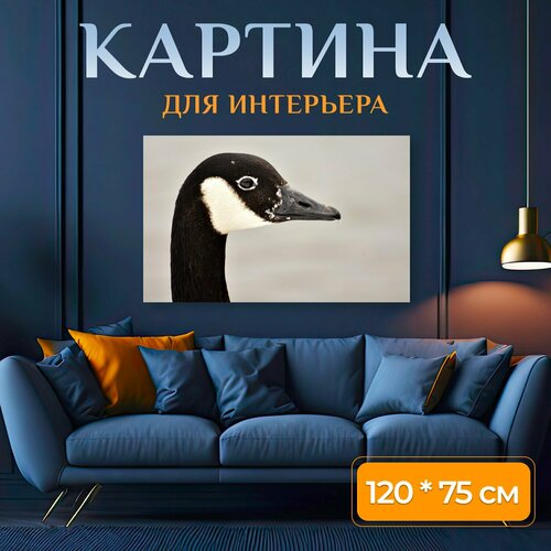 Картина на холсте "Гусь, водоплавающая птица, дикий гусь" на подрамнике 120х75 см. для интерьера
