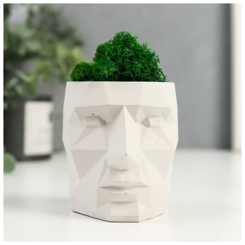 Кашпо бетонное "Голова" со мхом высота 8.5 см белое (мох зеленый стабилизированный)