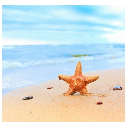 Постер на холсте Морская звезда на берегу океана (Starfish on the beach) 32см. x 30см.