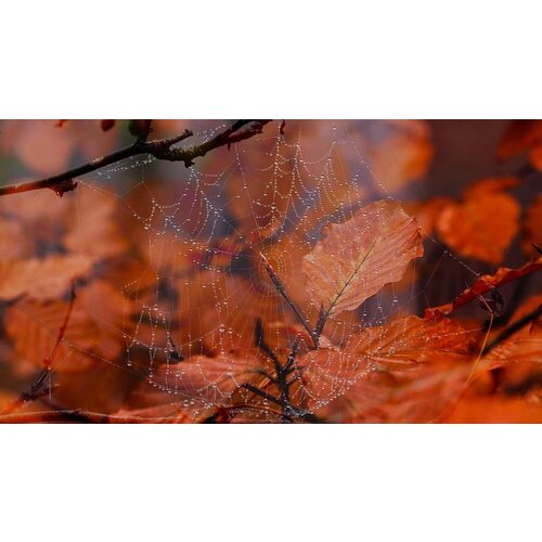 Картина на холсте 60x110 Альянс Лес "Осень осенние листья" на подрамнике / интерьер/ декор