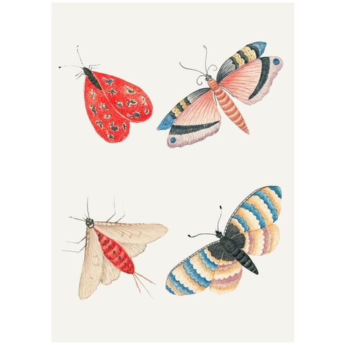 Постер / Плакат / Картина Бабочки - Полёт нежных бабочек 90х120 см в подарочном тубусе