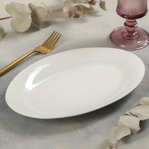 Блюдо фарфоровое овальное КНР White Label, 25,5х17х2 см, с утолщенным краем, белое