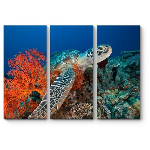 Модульная картина Морская черепаха в кораллах140x100