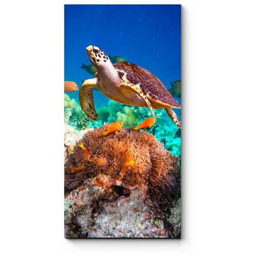Модульная картина Черепаха в коралловом рифе40x80