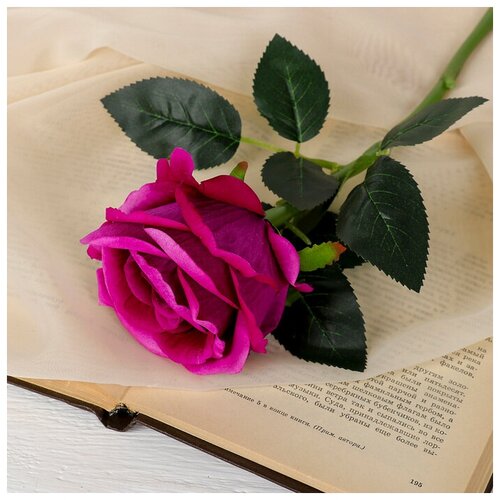 Цветы искусственные "Роза венесуэльская" 8х23 см, фиолетовый