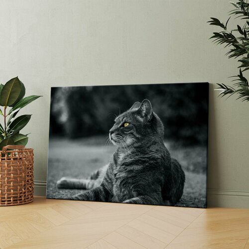 Картина на холсте (Кот сидит на земле и смотрит вверх) 40x60 см. Интерьерная, на стену.