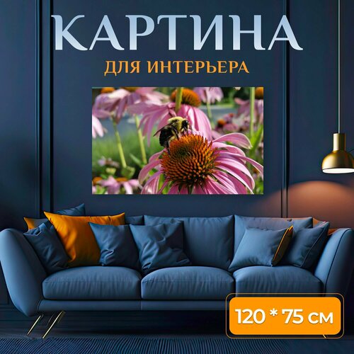 Картина на холсте "Пчела, эхина, насекомые" на подрамнике 120х75 см. для интерьера