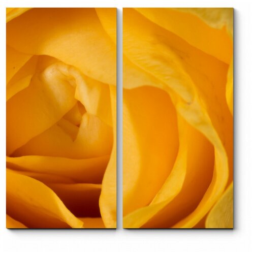 Модульная картина Солнечная роза 50x50