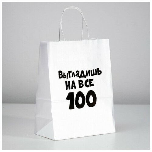 Пакет подарочный с приколами «Выглядишь на все 100», 24 х 14 х 30 см