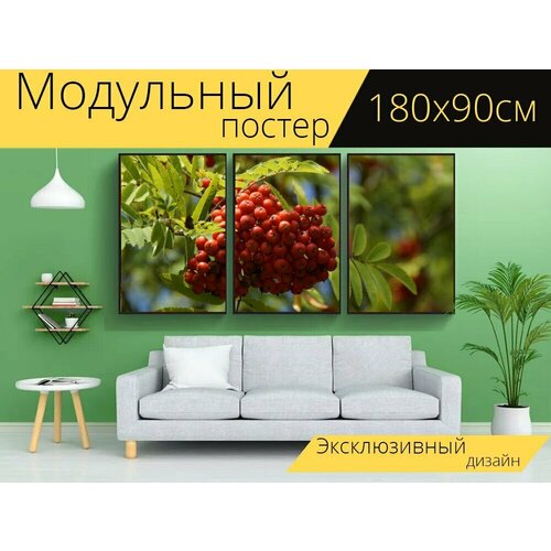 Модульный постер "Рябина, ягода, ягоды рябины" 180 x 90 см. для интерьера