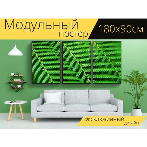 Модульный постер "Папоротник, аннотация, зеленый" 180 x 90 см. для интерьера