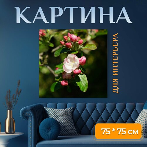 Картина на холсте "Яблоня, расцветает, красный" на подрамнике 75х75 см. для интерьера