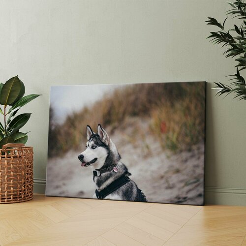 Картина на холсте (Собака хаски сидит на пляже) 60x80 см. Интерьерная, на стену.