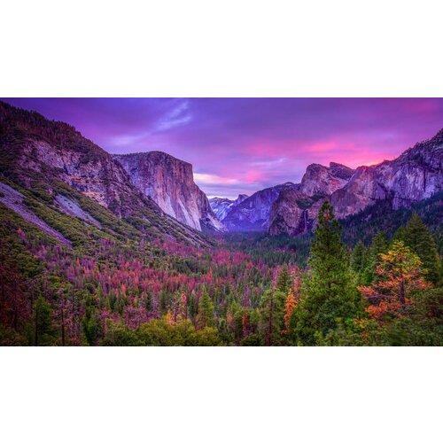 Картина на холсте 60x110 LinxOne "Национальный парк Йосемити" интерьерная для дома / на стену / на кухню / с подрамником