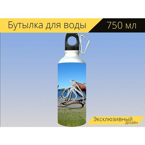 Бутылка фляга для воды "Кальмар скульптуры, статуя, гигантский кальмар" 750 мл. с карабином и принтом