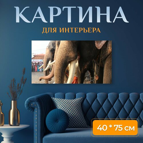 Картина на холсте "Слон, фестиваль, индус" на подрамнике 75х40 см. для интерьера