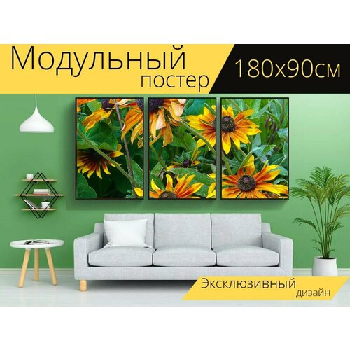 Модульный постер "Красочный колорадо подсолнухи, подсолнухи, цветы" 180 x 90 см. для интерьера