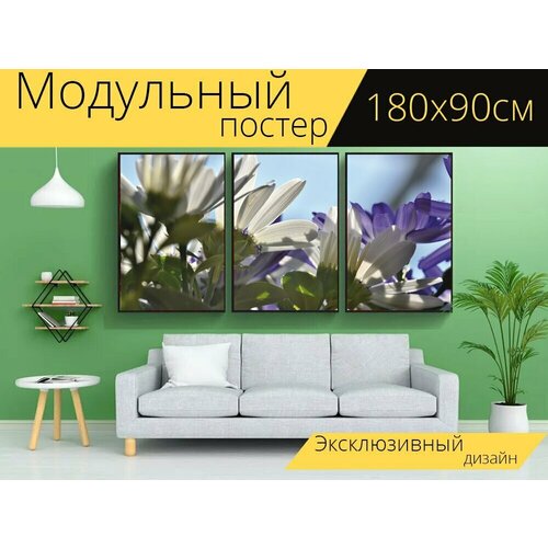 Модульный постер "Маргарита, цвести, цветок" 180 x 90 см. для интерьера