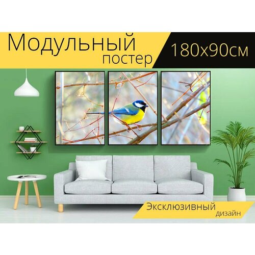 Модульный постер "Птица, синица, синиц" 180 x 90 см. для интерьера