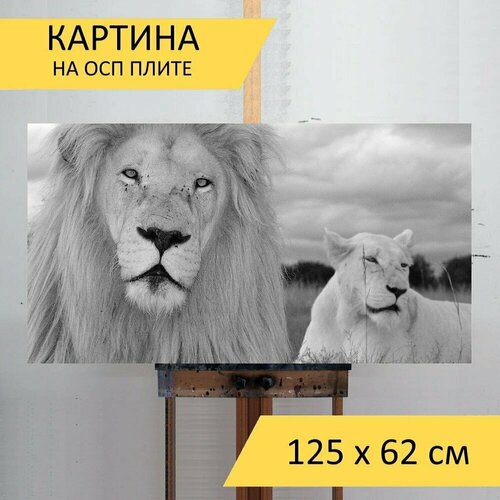 Картина на ОСП 125х62 см. "Белый лев пара, белые львы, белый" горизонтальная, для интерьера, с креплениями
