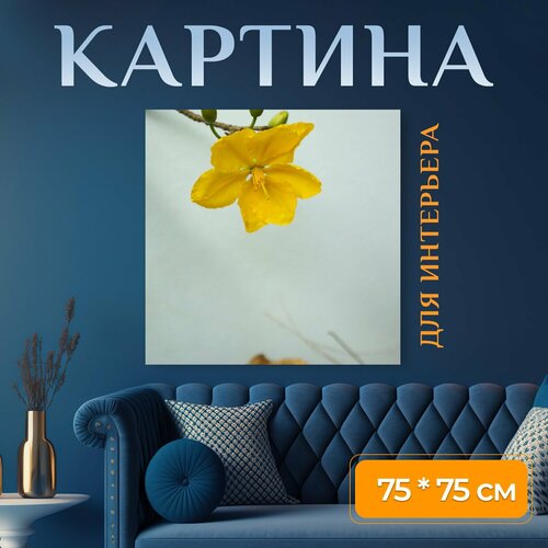 Картина на холсте "Персиковый цветок, желтые цветы, май грудастая" на подрамнике 75х75 см. для интерьера