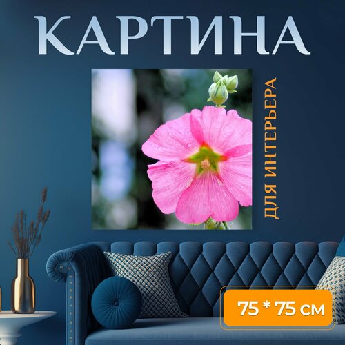 Картина на холсте "Мальва, шток розы цветок, сад" на подрамнике 75х75 см. для интерьера
