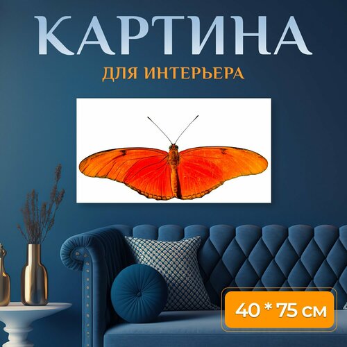 Картина на холсте "Животное, бабочка, летающий" на подрамнике 75х40 см. для интерьера