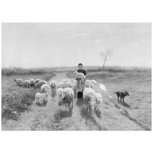 Репродукция на холсте Пастушка и ее стадо Мауве Антон 55см. x 40см.