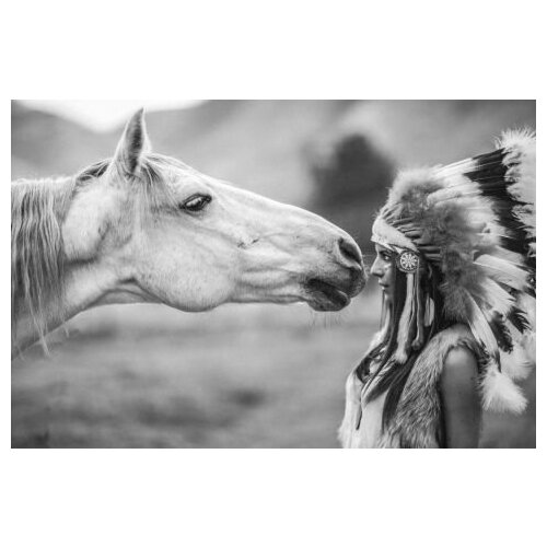 Плакат, постер на бумаге horse kiss/Поцелуй лошади. Размер 21 х 30 см