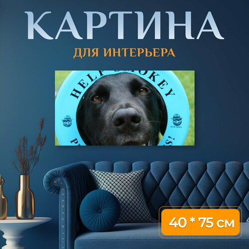 Картина на холсте "Собака, чернить, лабрадор" на подрамнике 75х40 см. для интерьера