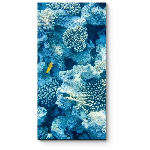 Модульная картина Коралловые рифы 30x60