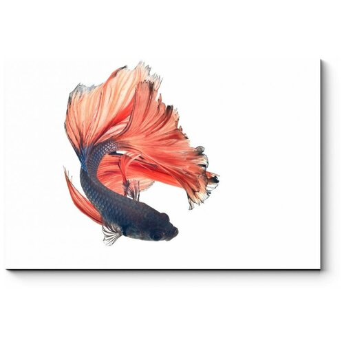 Модульная картина Роскошная рыба 70x47