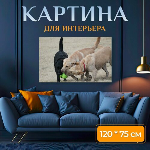 Картина на холсте "Собаки, играть, ретривер" на подрамнике 120х75 см. для интерьера