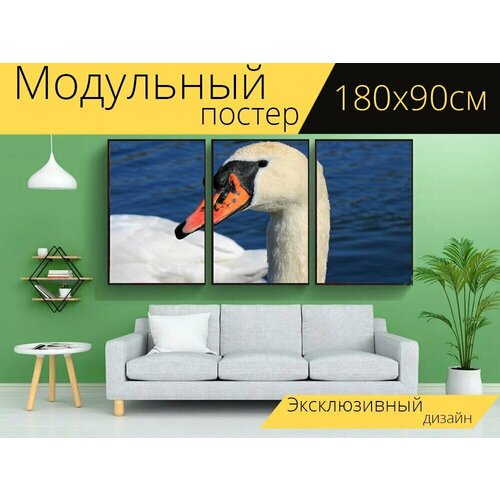 Модульный постер "Лебедь, животное, вода" 180 x 90 см. для интерьера
