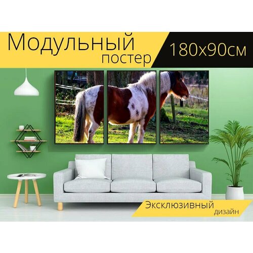 Модульный постер "Пони, животное, пинто лошадь" 180 x 90 см. для интерьера