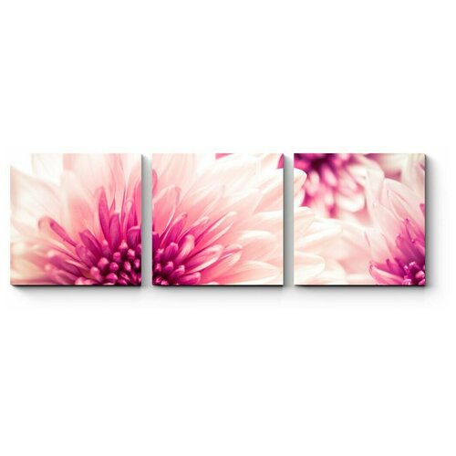 Модульная картина Розовая хризантема90x30