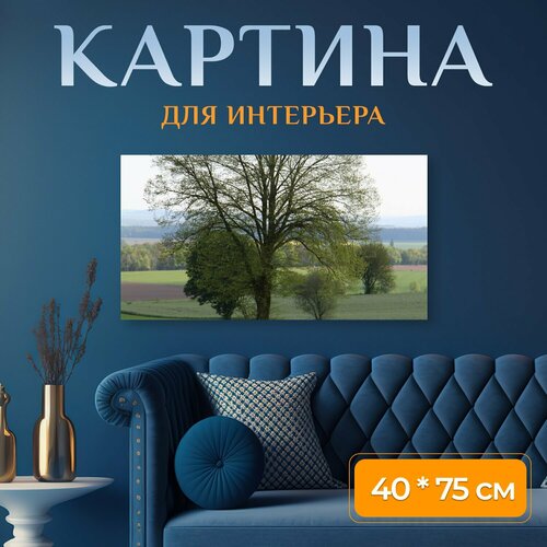 Картина на холсте "Рапс, желтый, дерево" на подрамнике 75х40 см. для интерьера