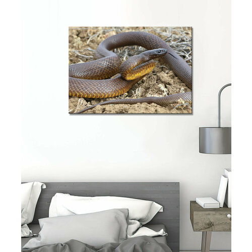 Картина - змея, тайпан, жестокая змея, ядовитая змея, большая змея, кожа змеи (8) 50х70