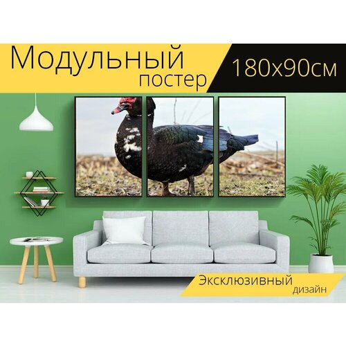 Модульный постер "Птица, утка, переход" 180 x 90 см. для интерьера