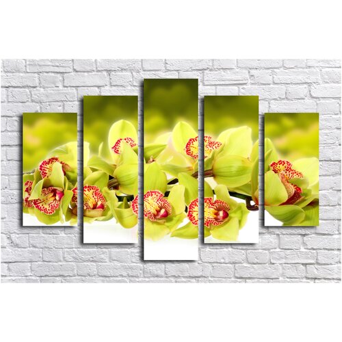 Модульная картина для интерьера / Картина на стену Зеленые орхидеи 140x80 см