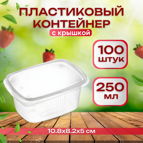 Контейнер одноразовый с крышкой для продуктов 250мл, 100шт.