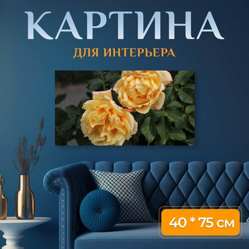 Картина на холсте "Желтый, розы, цветы" на подрамнике 75х40 см. для интерьера