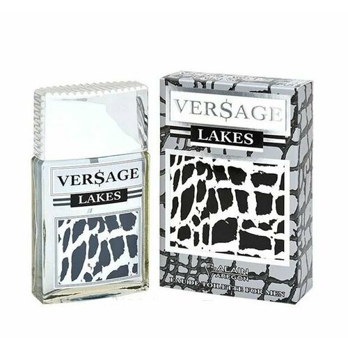 Парфюмерная вода Positive Parfum Versage LAKES edt100ml (9)