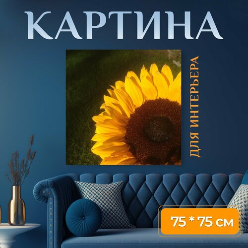 Картина на холсте "Подсолнечник, тень, желтый" на подрамнике 75х75 см. для интерьера