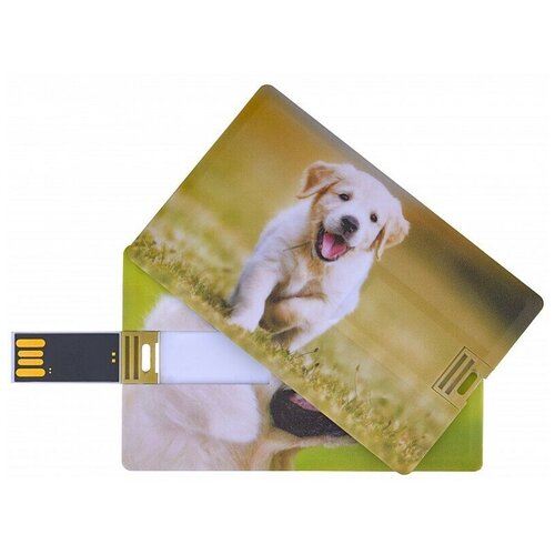 Подарочный USB-накопитель собака оригинальная флешка пластиковая карта 8GB