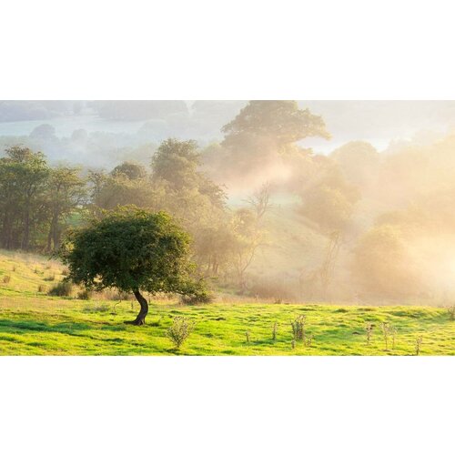 Картина на холсте 60x110 LinxOne "Красота лето поле туман" интерьерная для дома / на стену / на кухню / с подрамником
