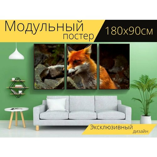Модульный постер "Лиса, животное, дикая природа" 180 x 90 см. для интерьера