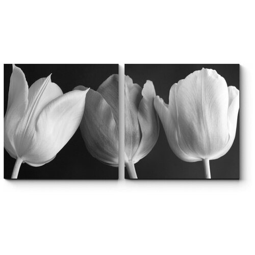 Модульная картина Монохромные тюльпаны 90x45