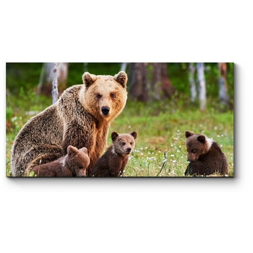 Модульная картина Семья очаровательных медведей 130x65